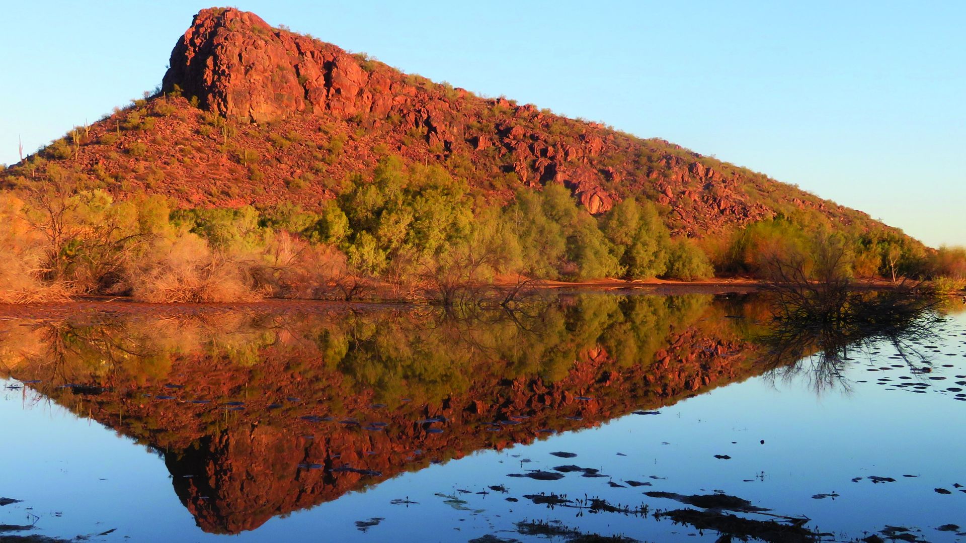El Rio Preserve - Discover Marana